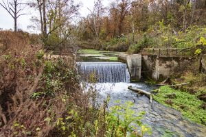 Althea Spring In Ozark County Missouri