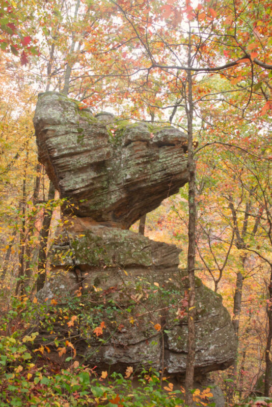Buzzards Roost Hiking Trail