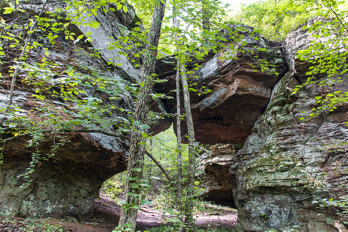 8 Breathtaking Hiking Trails in the Ozarks