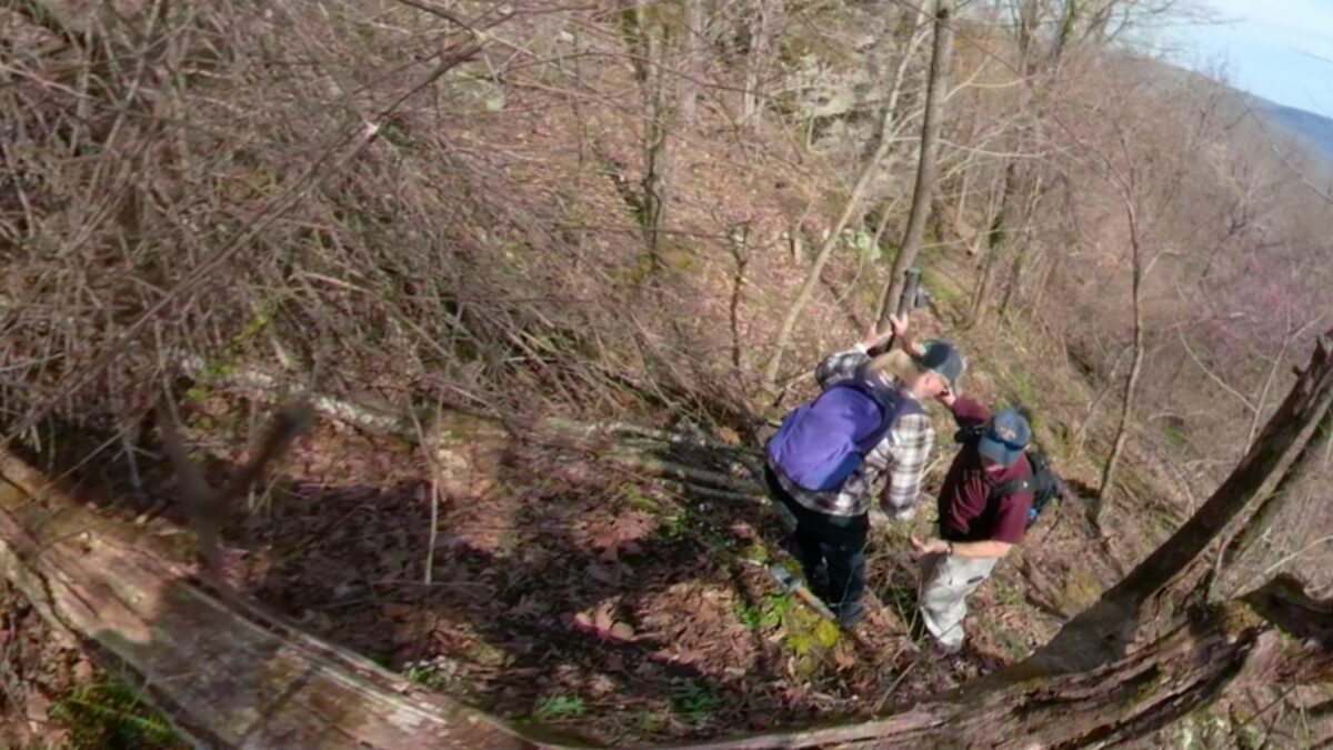 Hideout Hollow Waterfall Hike